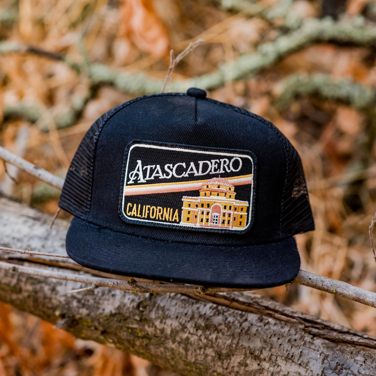 Central Coast – Bart Bridge