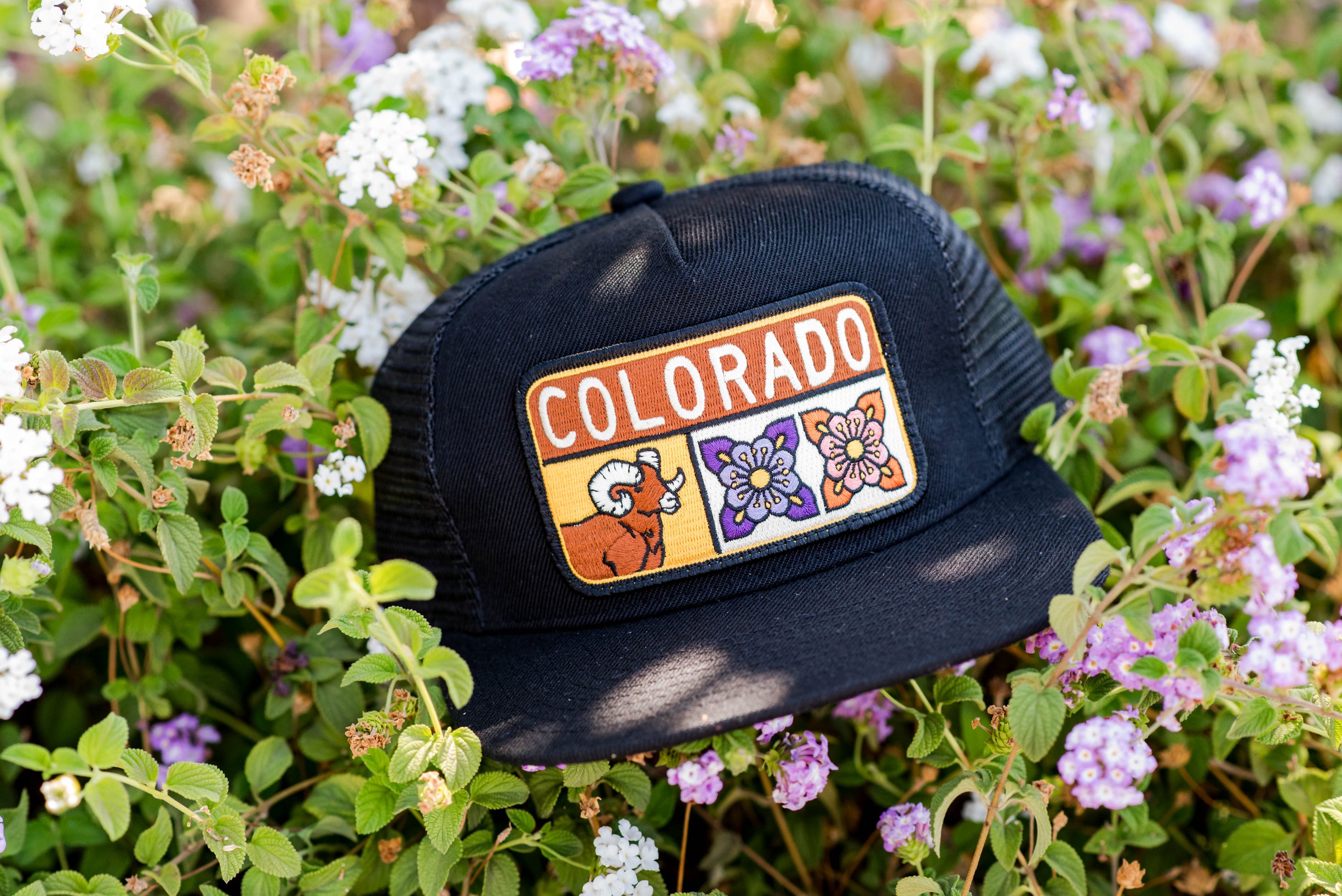 Bart Bridge: Pocket Hats and Patches