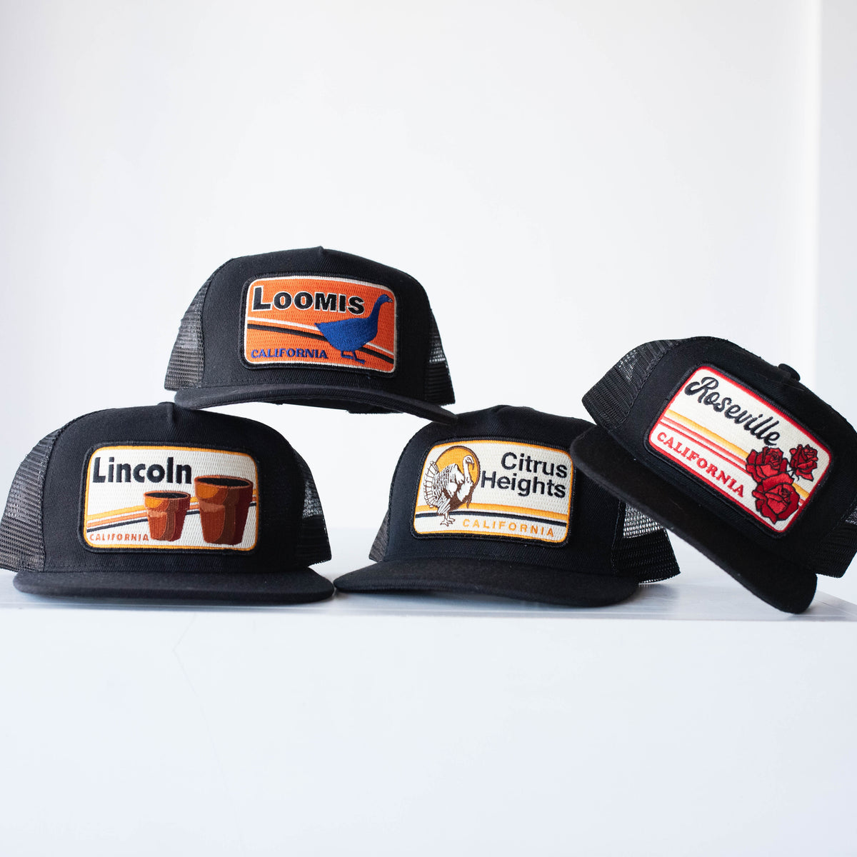 Sacramento – Bart Bridge