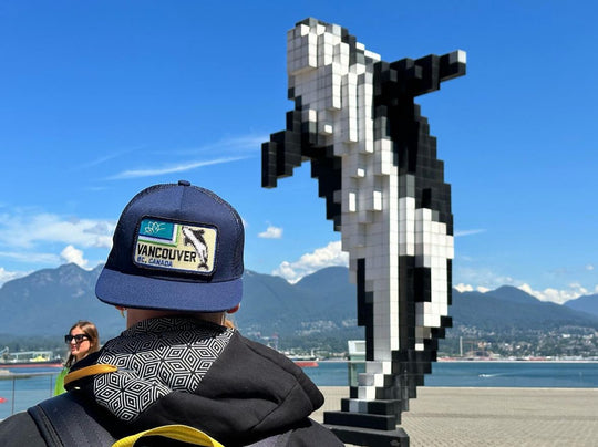 Bart Bridge: Pocket Hats and Patches