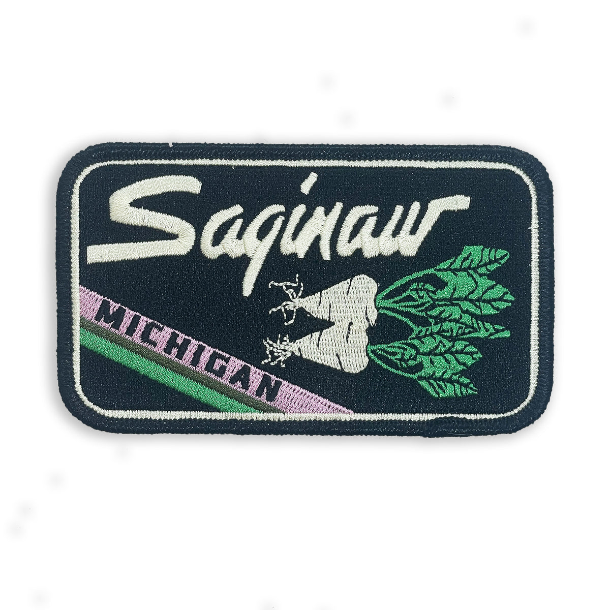 Saginaw Michigan Patch – Bart Bridge